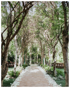 Hartley Botanica Private Tour – Hartley Botanica